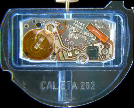 ESA / ETA Quartz Movements 201.xxx thru 252.xxx Series