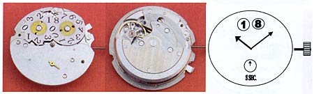Chinese Made Mechanical Watch Movements