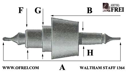 Waltham Balance Staffs